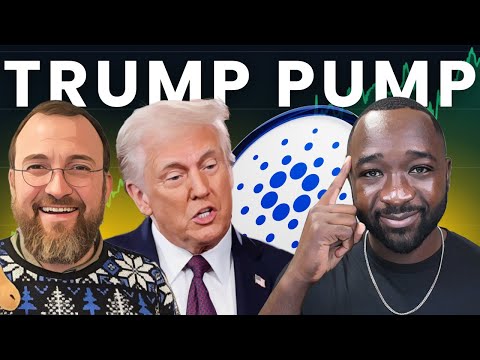 Cardano at The WHITE HOUSE?! Trump Crypto Summit Could Be HUGE for ADA ...