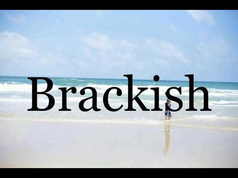 How To Pronounce Brackish๐๐๐๐๐๐Pronunciation Of Brackish