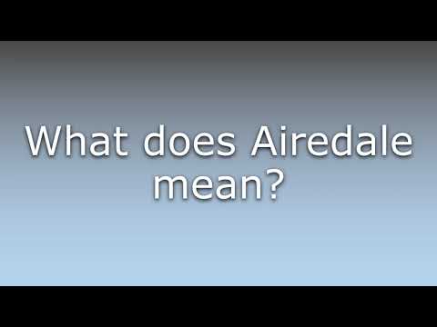 What does Airedale mean?