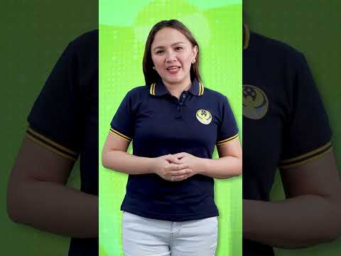 Meaning in a Minute: BSFI (Cebuano)