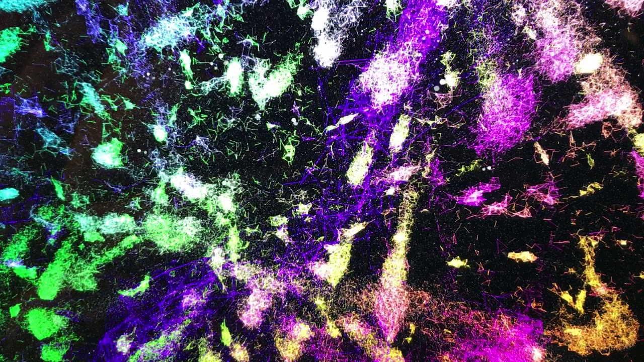3D Genome Visualization
