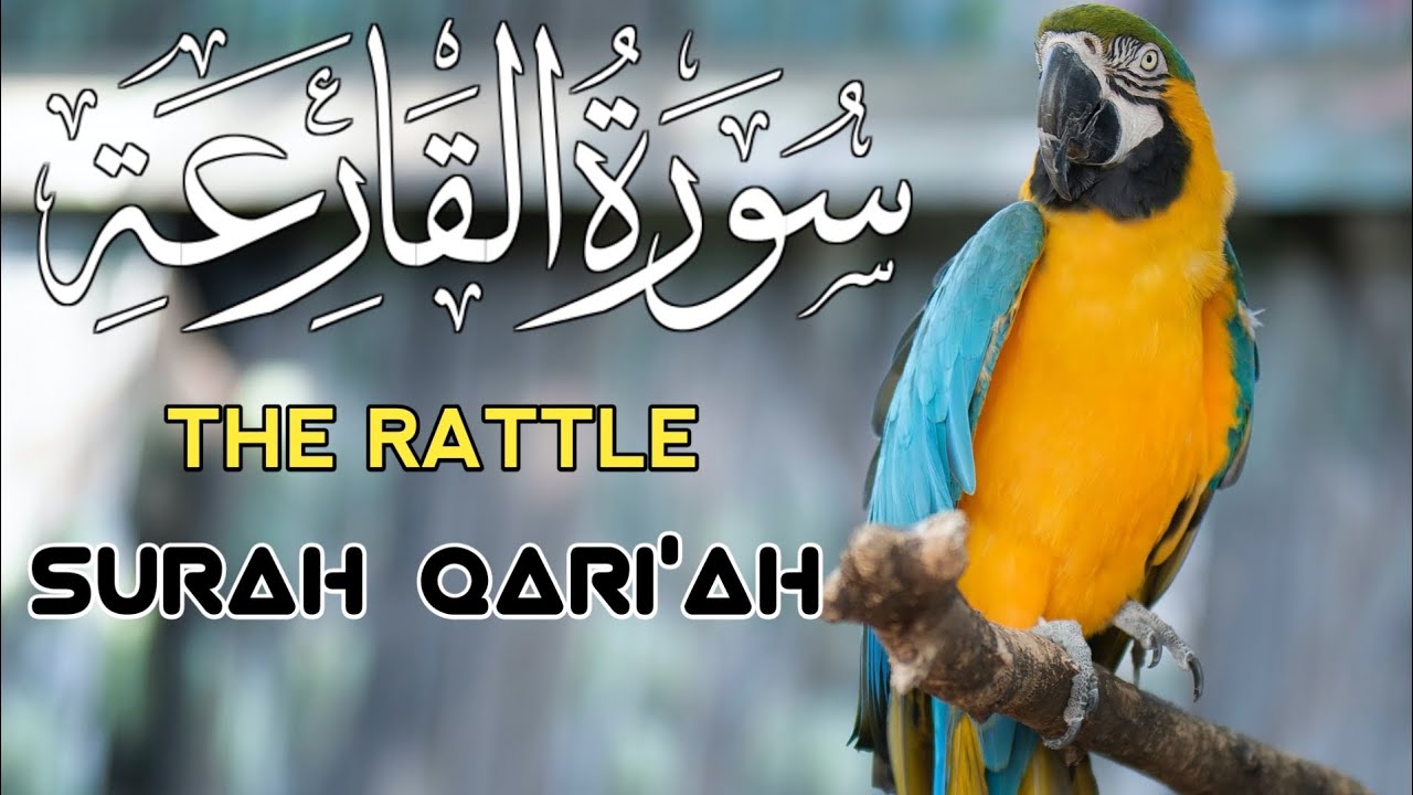 surah Qari ah beautiful voice Quran tilawat حافظ محمد احمد Peaceful Quran