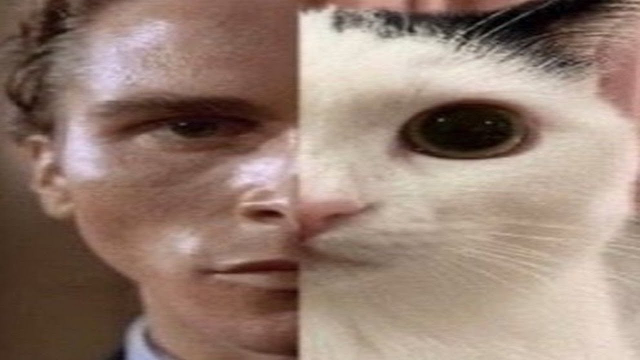 Shitpost compilation 4