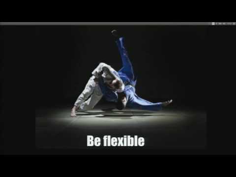 Guillem Duran - Interactive data Kung Fu with Shaolin