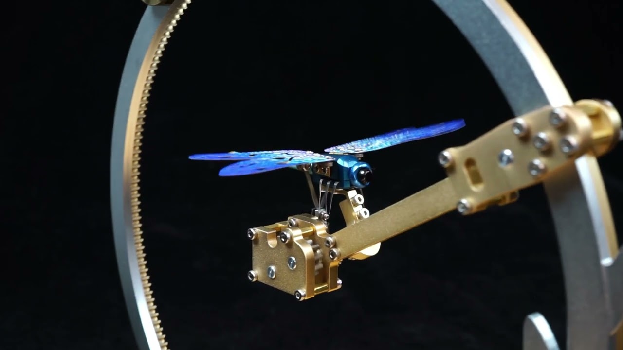 How to Start a Mechanical Dragonfly Kit?