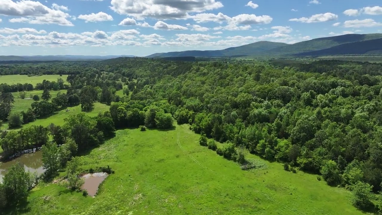 Arkansas Country Home & 40 Acres For Sale