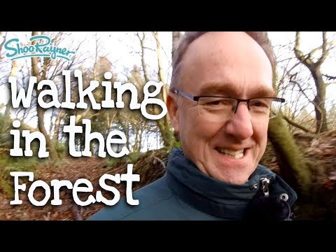 Ravens over the Studio – Shoo Rayner