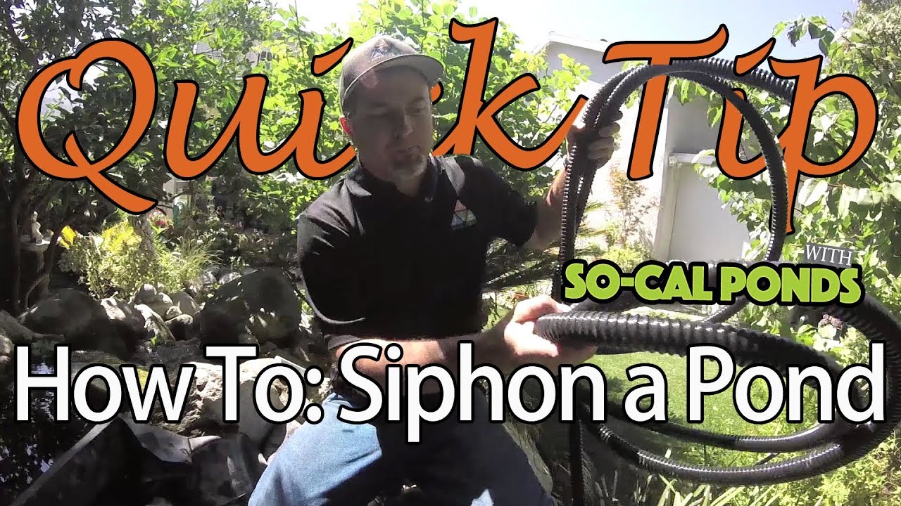 Quick Tip: How to Siphon a Pond