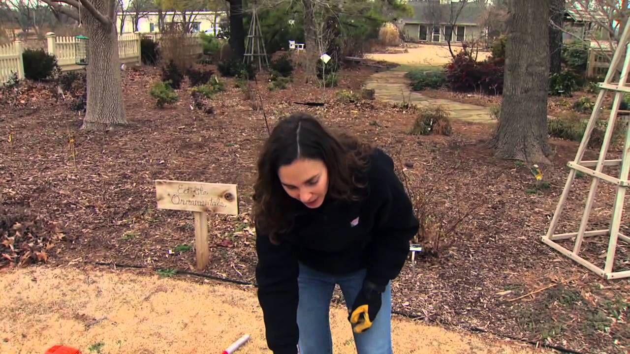 Pruning Safety and Equipment