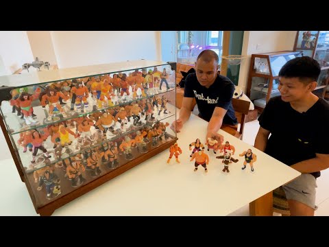 The Complete SET WWF Hasbro Figures!