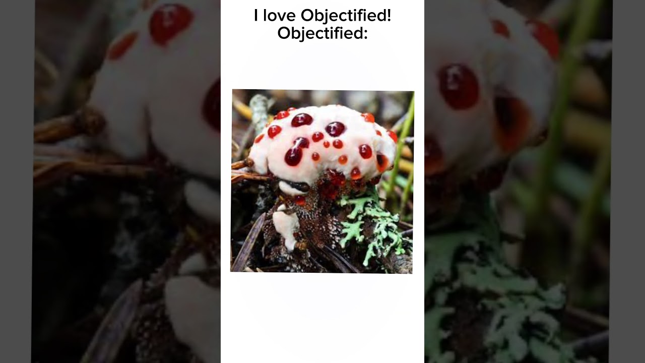 Objectified on Webtoon#objectified#memes #fyp#fypage