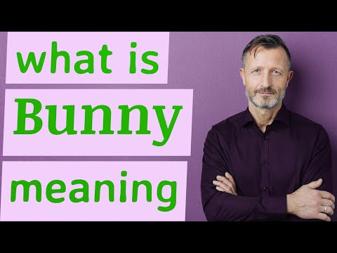 Bunny | Meaning of bunny 📖 📖