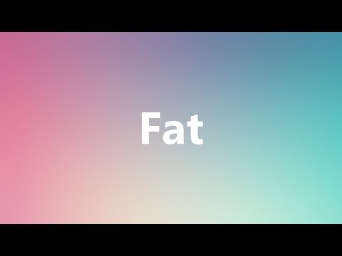 Fat - Medical Definition and Pronunciation