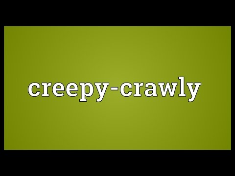 Creepy-crawly Meaning