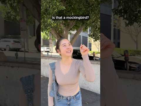 Mockingbird ❌ Mocking bird ✅ #sofimanassyan #relatable #funny