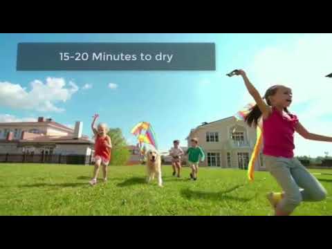 What To Expect From Mosquito Squad - Mosquito and Tick Control