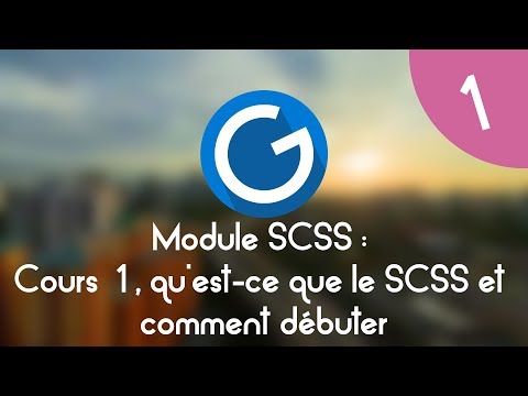 Learn Formation IMM Module SCSS Cours tuto 1 débuter en SCSS - Mind Luster