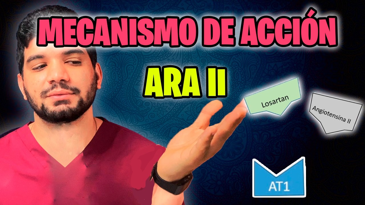 Mechanism of Action of ARA 2 | Losartan What It Is and How It Works