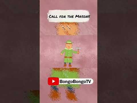 Call for the Masons #short | Nursery rhymes and kids songs