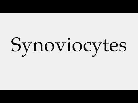 How to Pronounce Synoviocytes