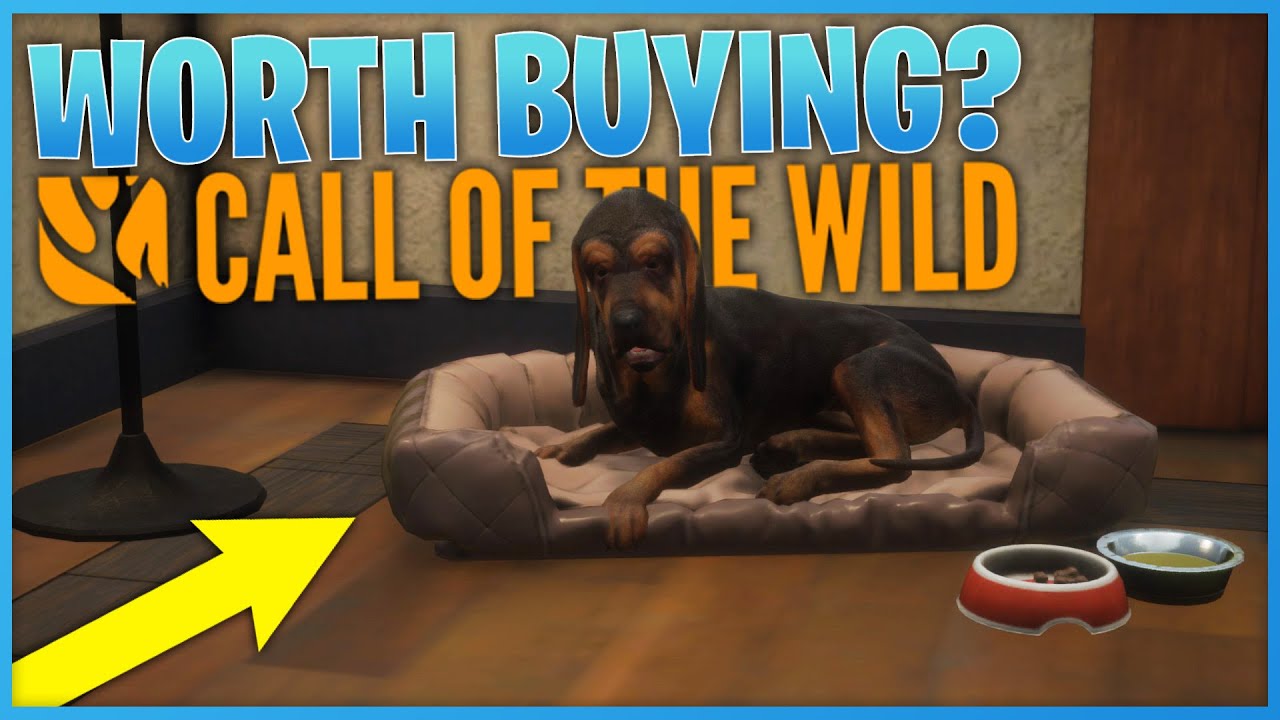 Is The Bloodhound DLC Worth Buying!? | theHunter Call Of The Wild
