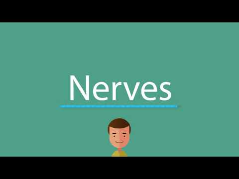 How to say Nerves