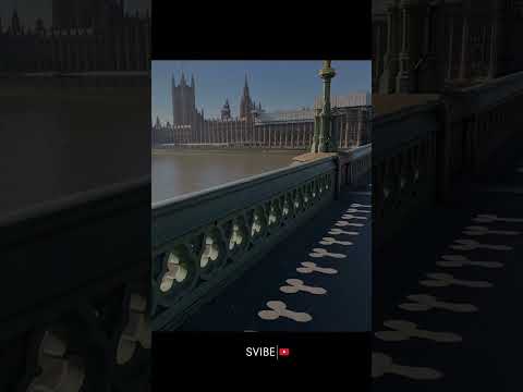 Pictures taken at right time ( Ark patrol - Let go ) #satisfying #vibes