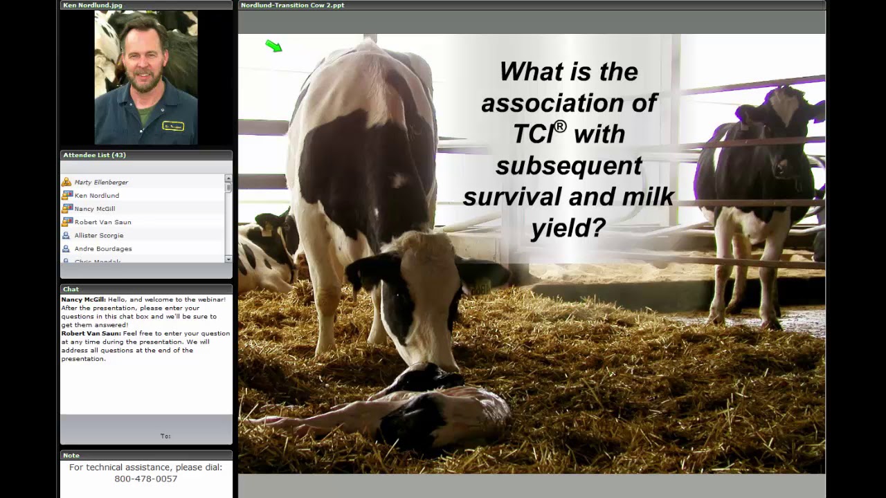 Optimizing Facilities for Transition Cow Success