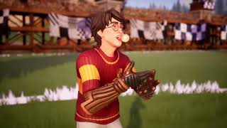 Buy Harry Potter: Quidditch Champions from the Humble Store