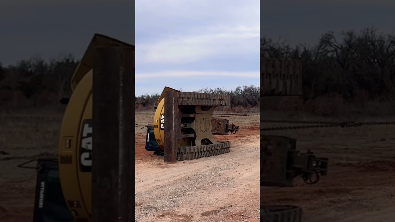 Cats Don’t Always Land On Their Feet