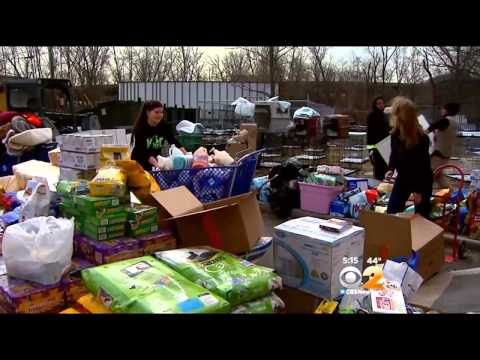 Westchester County Pet Sanctuary Forced To Evacuate Over Building Collapse Concerns