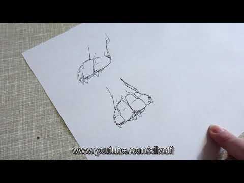 How to Draw Dog and Cat Paws
