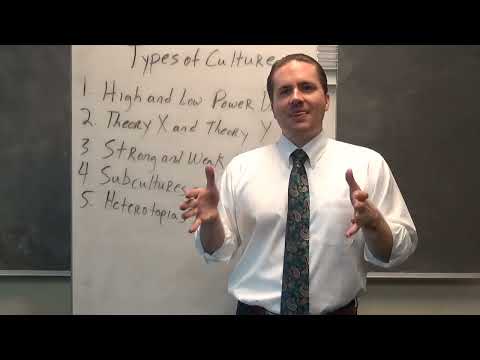 What Are Some Different Types of Organizational Culture