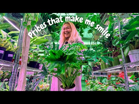 LA’s LARGEST Ongoing Daily Plant Market Has the Deals and Selection!
