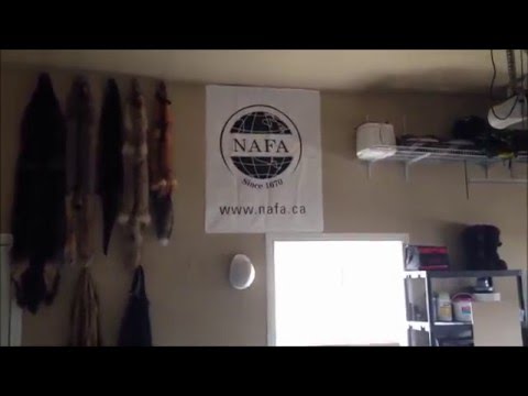 Update in the fur shop