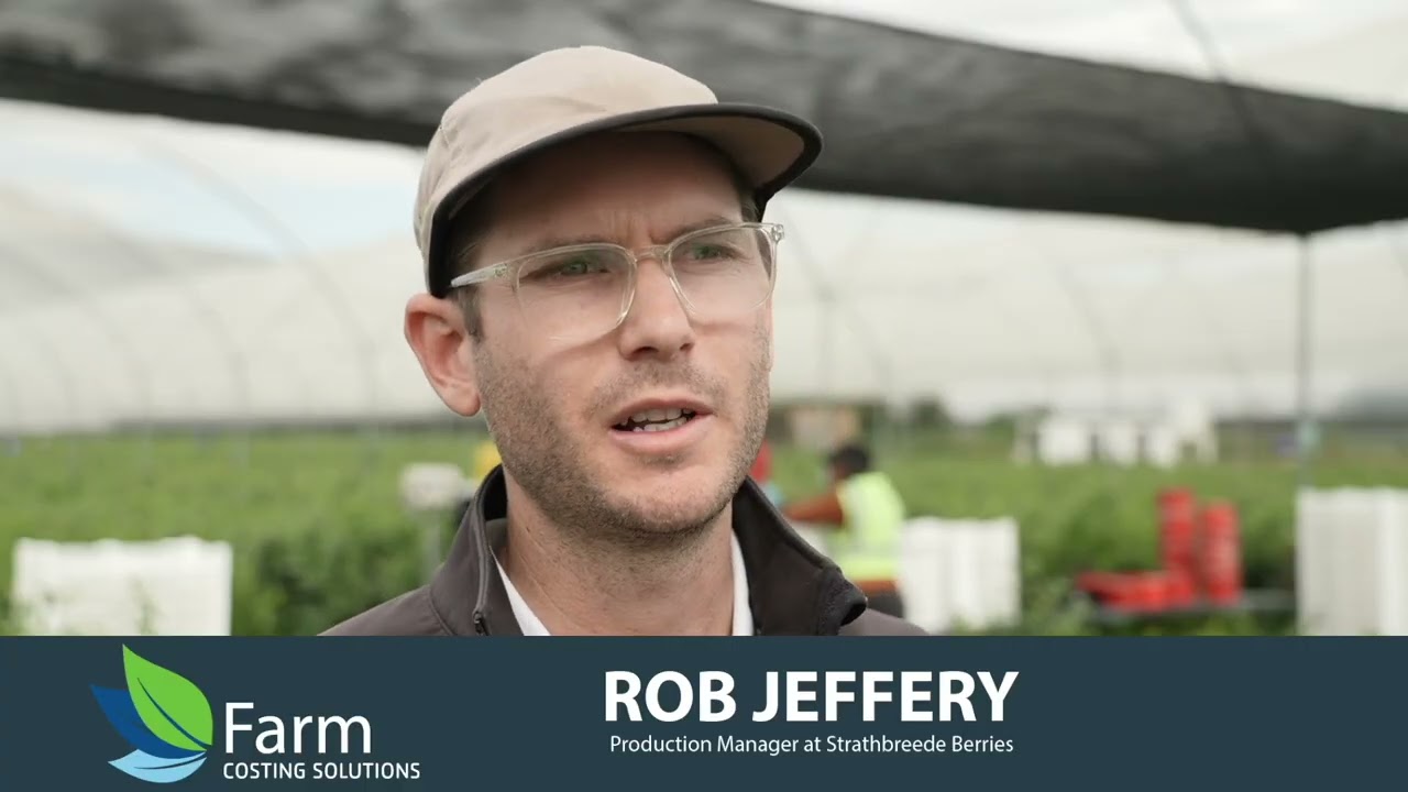 FCS Piecework on a Blueberry Farm