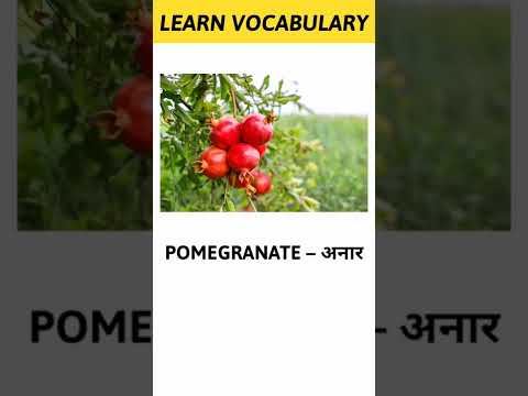 Pomegranate Meaning in Hindi | Learn Vocabulary Shorts