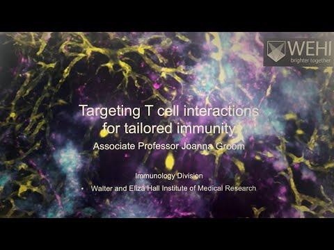 Targeting T cell interactions for tailored immunity by Dr. Joanna Groom