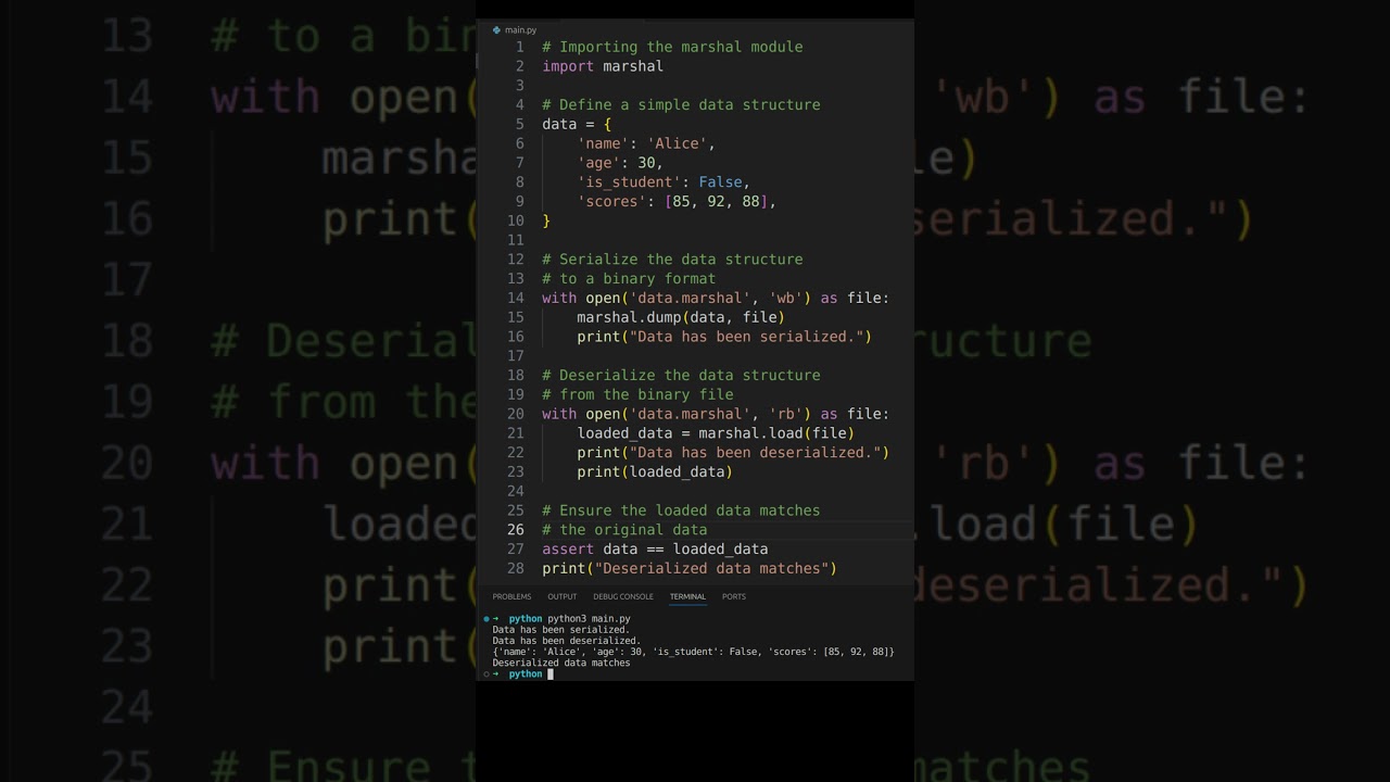 Python Marshal: Fast and Efficient Data Serialization
