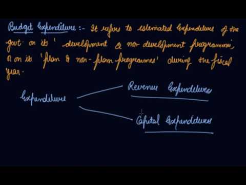 Budget Expenditure Revenue & Capital | Class 12 Macroeconomics Government Budget and the Economy