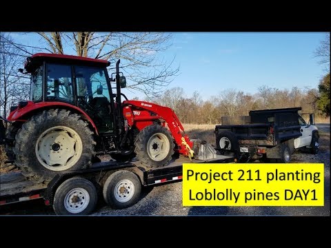 Project 211 Illinois farm Planting 42 acres of Loblolly pines DAY 1