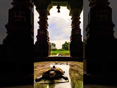 Mahadev Temple, KoteshwarWadi - Talegaon. #travel #pune #nature #india #shorts #short #punekar #love