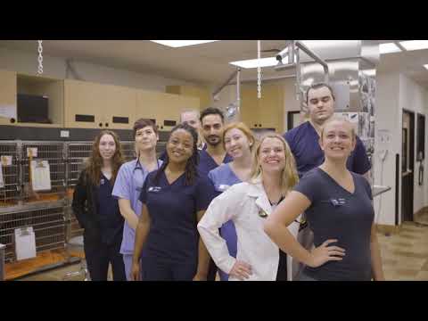Fully supported, world-class careers at Mars