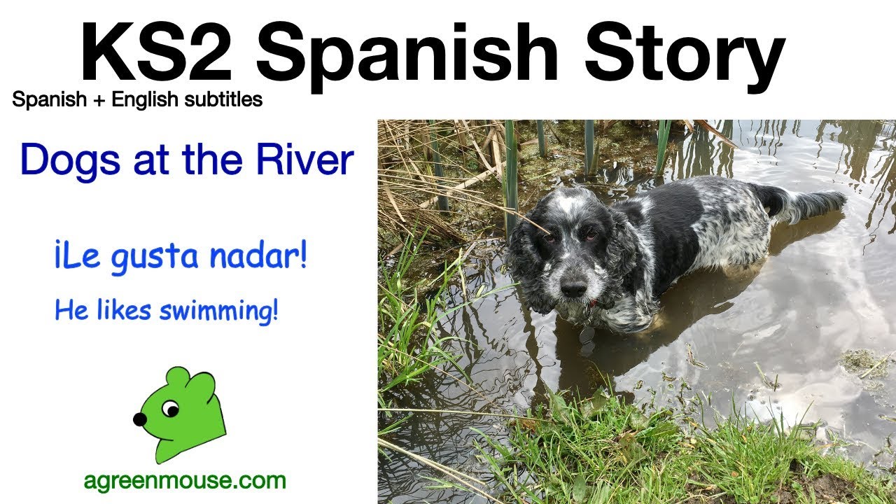 Spanish Short Stories about Dogs