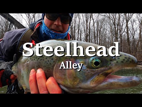 Steelhead Alley Nymphing with Lively Legz & Walt's Worms