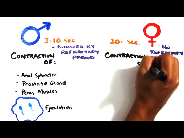 Exploring the Science Behind Orgasms: Understanding the Human ...