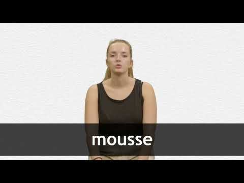 English Translation of “MOUSSE” | Collins French-English Dictionary