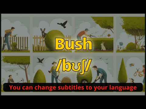 bush meaning with 5 examples
