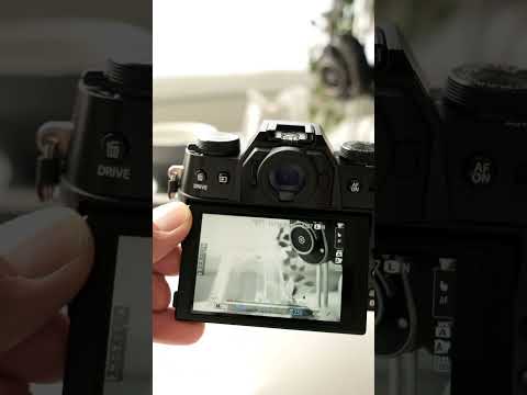 FUJIFILM X-T50 - FIRST LOOK HANDS ON! #fujifilm #fujifilmxT50 #XT50 #fujifilmcamera
