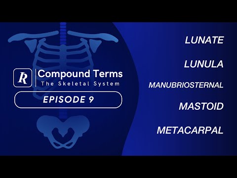 Compound Terms Series: Skeletal System | EPISODE 9